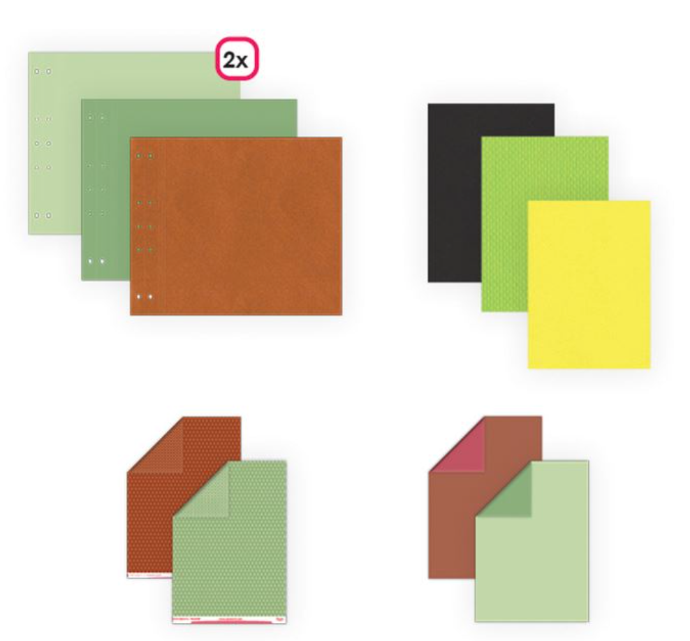 Colour Combo Kit: FOREST | Azza Pacific